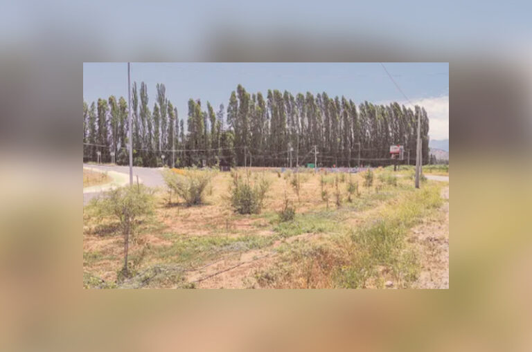 ISA INTERVIAL logra reducir sus índices ambientales y recibe Sellos ...